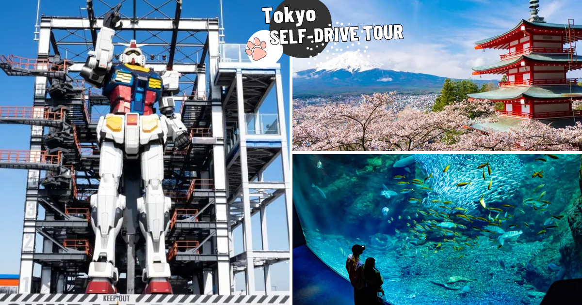 東京自駕遊！7日6夜行程、景點推薦 一次玩轉橫濱、鎌倉、箱根、河口湖 | funBooky